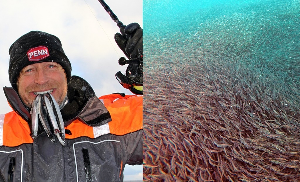 Lodde (artsfiske) - Asgeir Alvestad