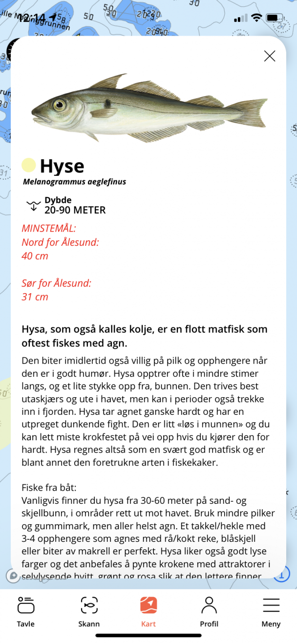 Finn de beste fiskeplassene for hyse (FiskHer App) - Asgeir Alvestad