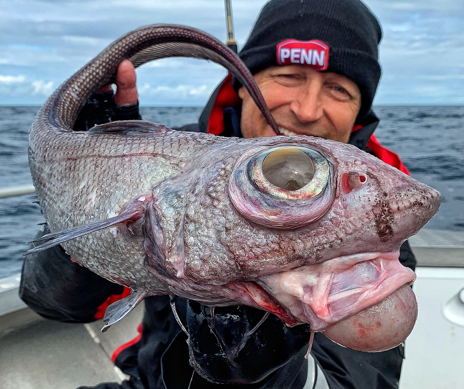 Art #152 Isgalt (Macrourus berglax) - Asgeir Alvestad