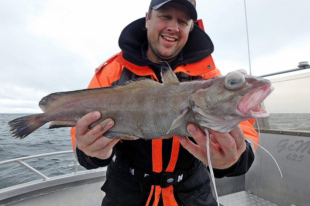 Fiskerapport fra Bleik-dypet Andøya August 2021 - Asgeir Alvestad