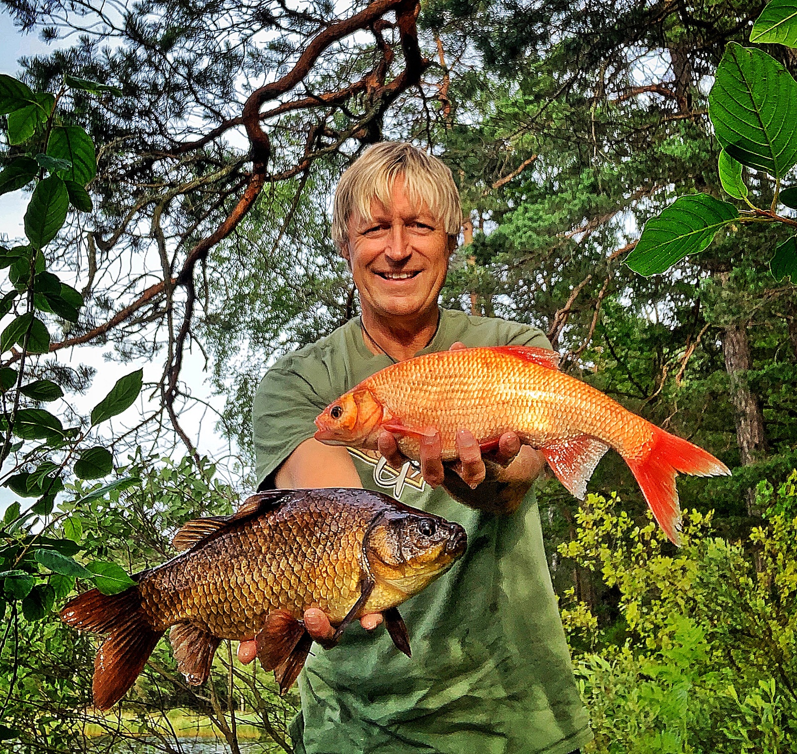 Gullfisk Kjeks Typer